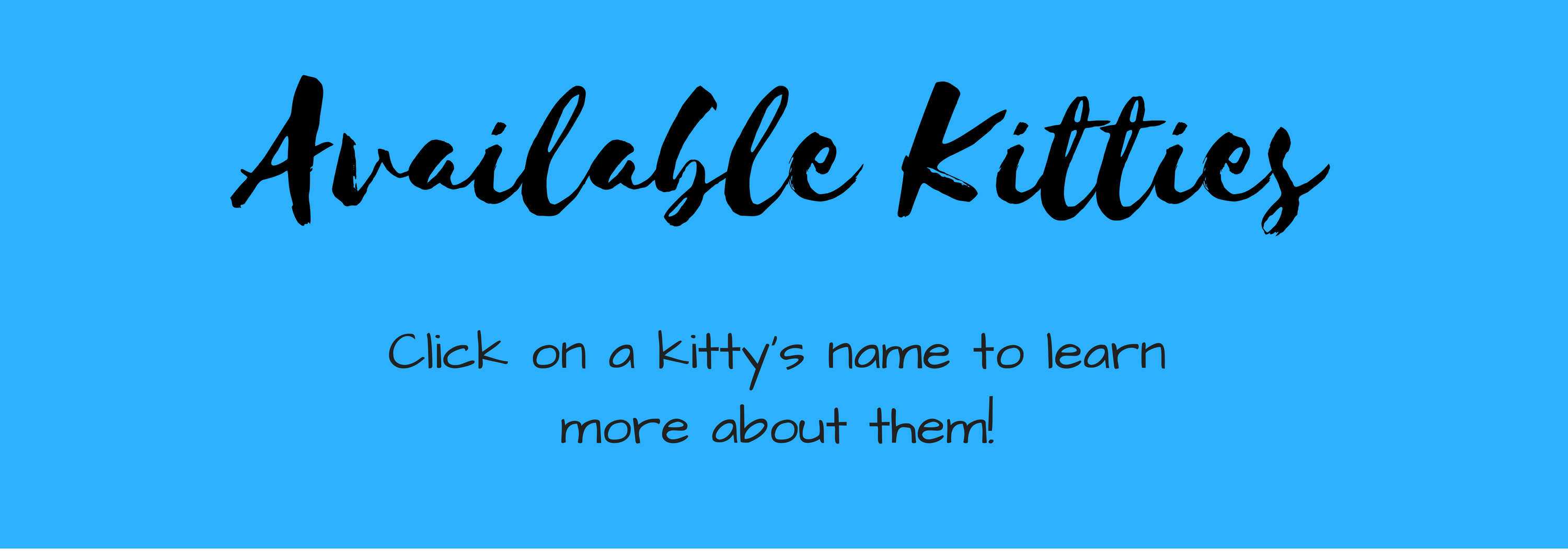 Available Kitties - Cat Around Town Project