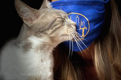 Available Kitties =^..^= - Cat Around Town Project