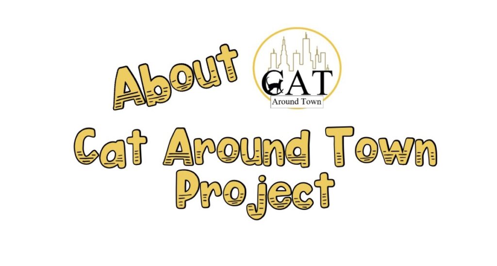 About Us - Cat Around Town Project